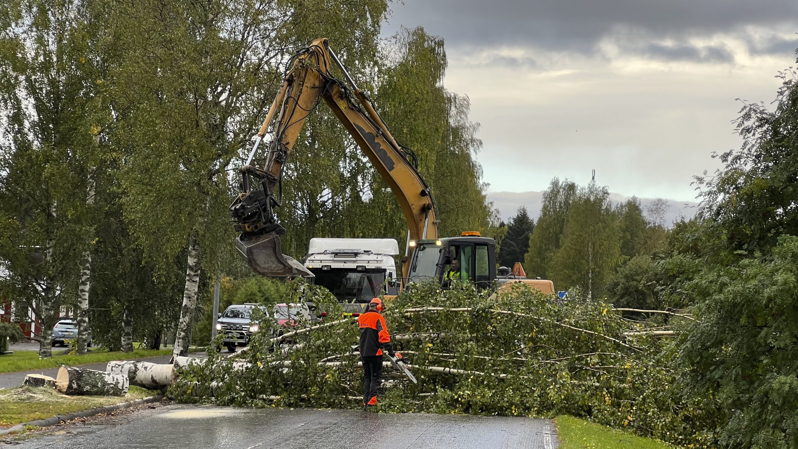 Myrskyssä kaatuneet puut pitivät pelastuslaitoksen kiireisenä ...